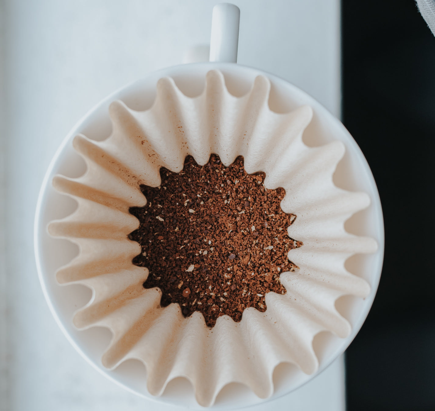 Adagio café a granel de mayoreo – Adagio Shop